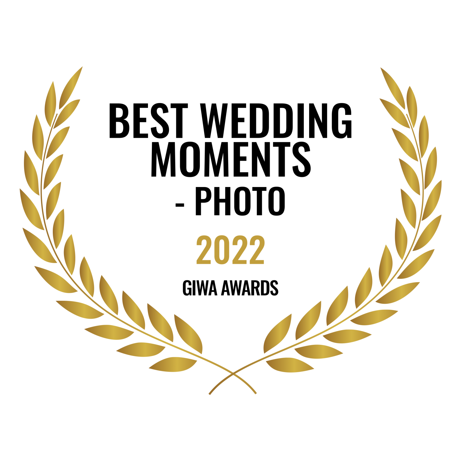 Magic Motion Media | Making Your Special Moments Memorable