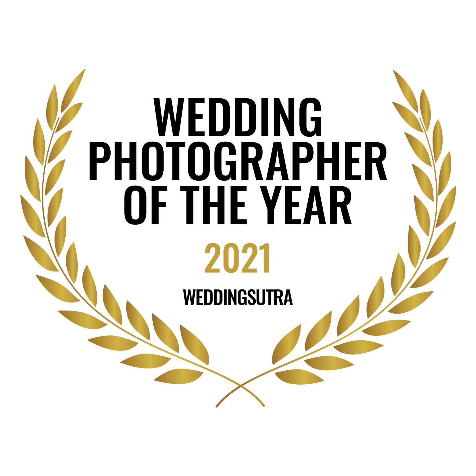 Magic Motion Media | Making Your Special Moments Memorable