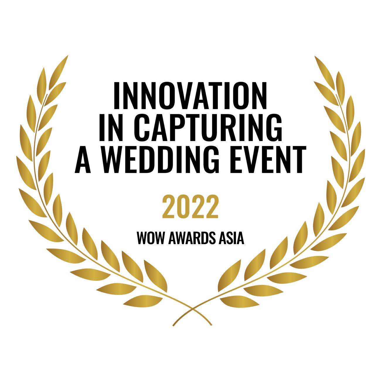 Magic Motion Media | Making Your Special Moments Memorable