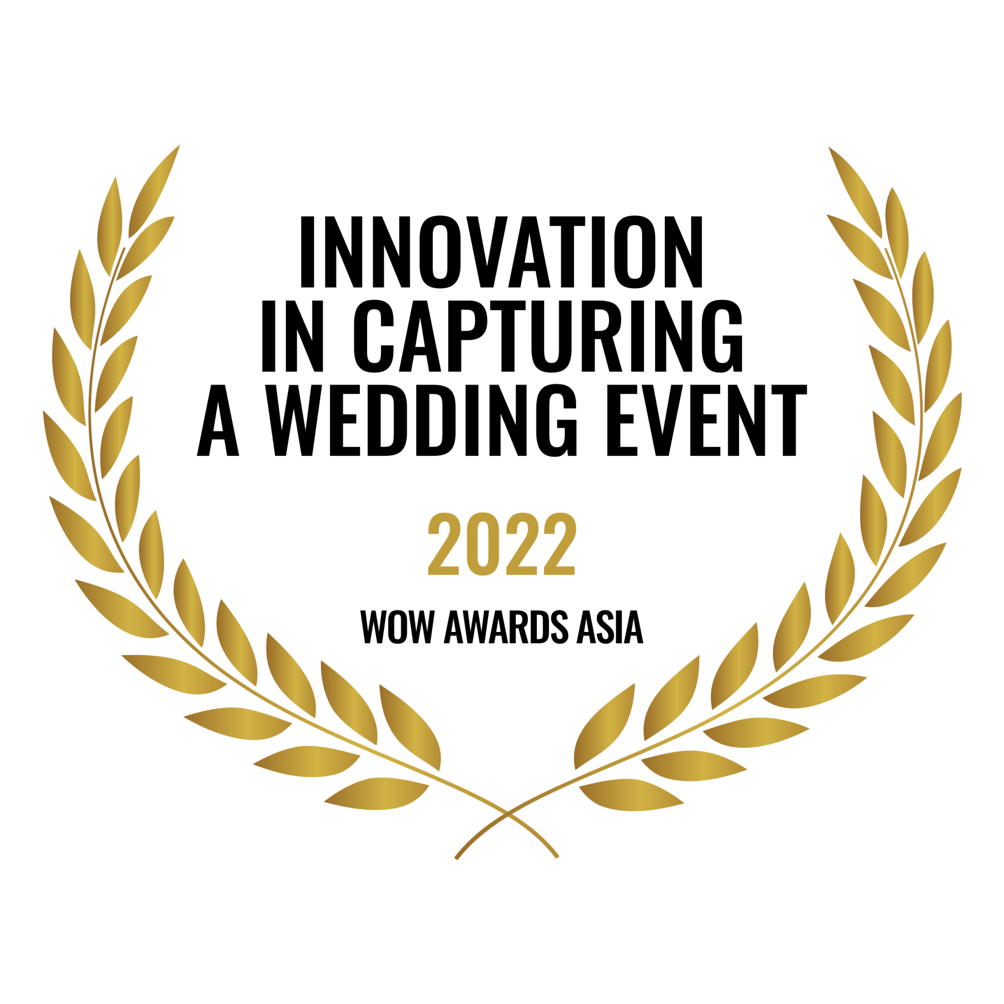 Magic Motion Media | Making Your Special Moments Memorable