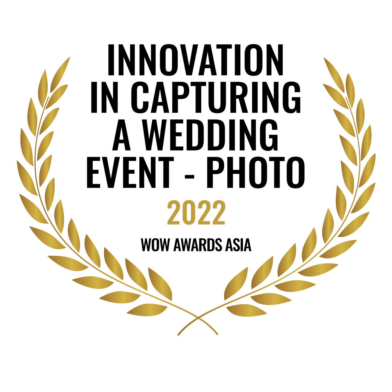 Magic Motion Media | Making Your Special Moments Memorable