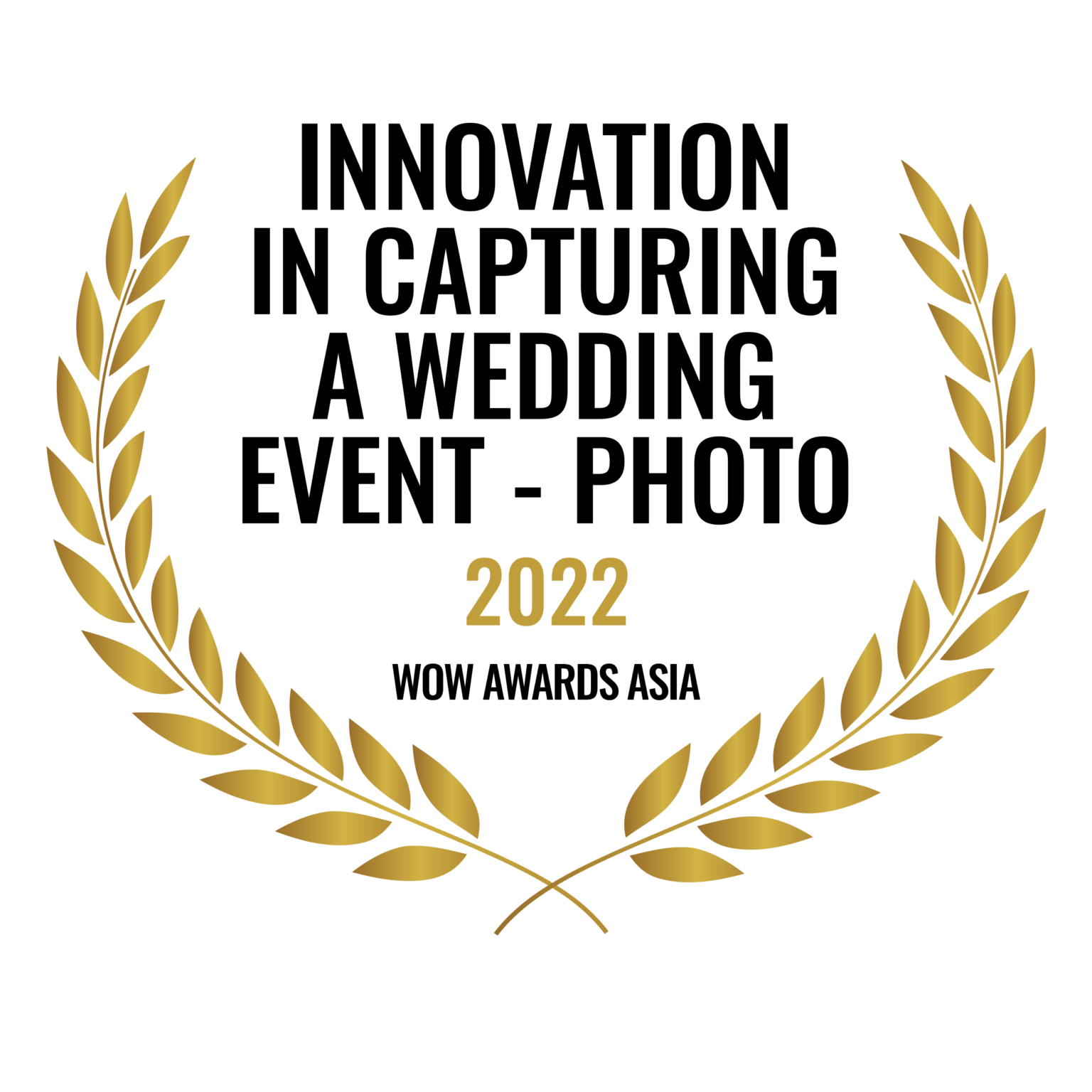 Magic Motion Media | Making Your Special Moments Memorable