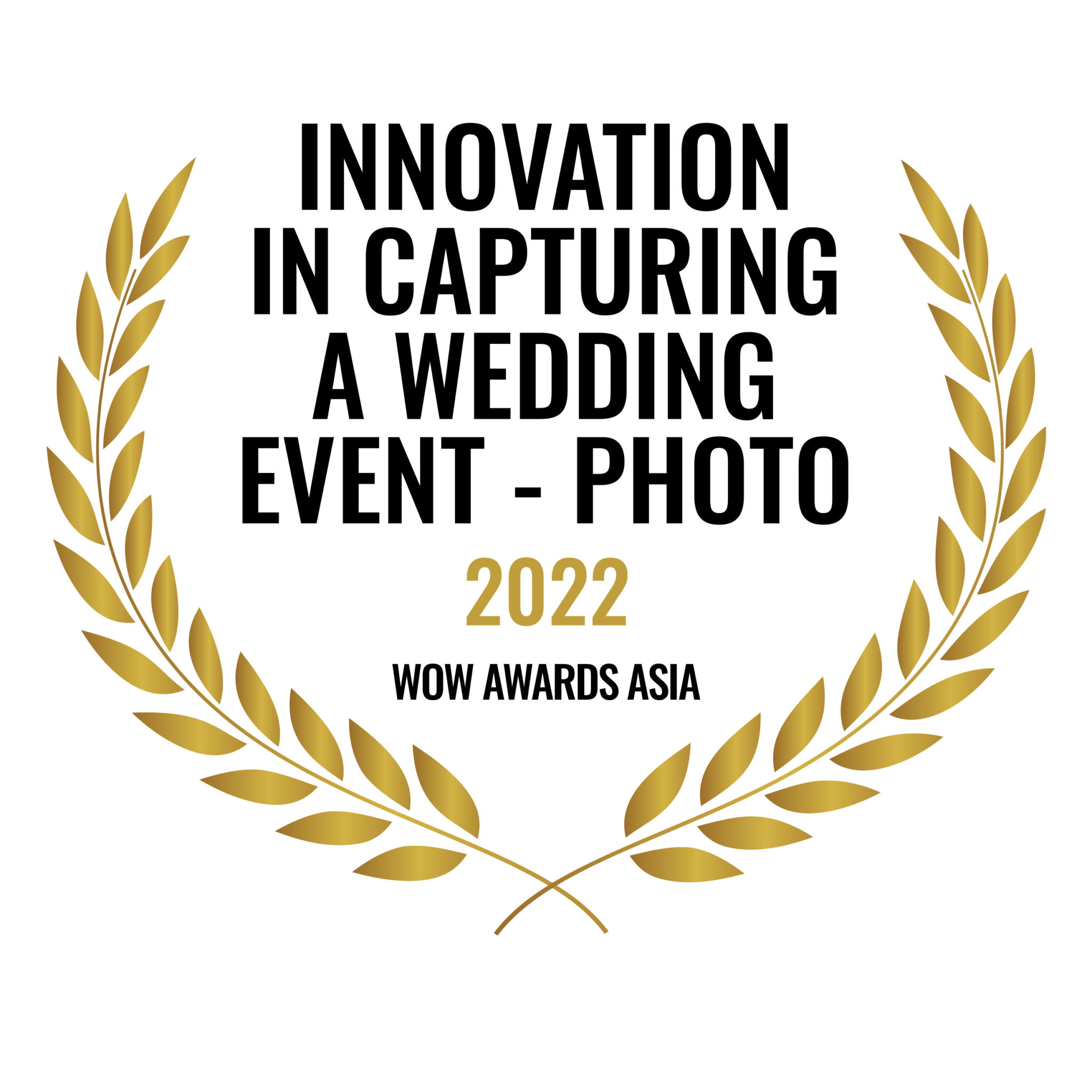 Magic Motion Media | Making Your Special Moments Memorable