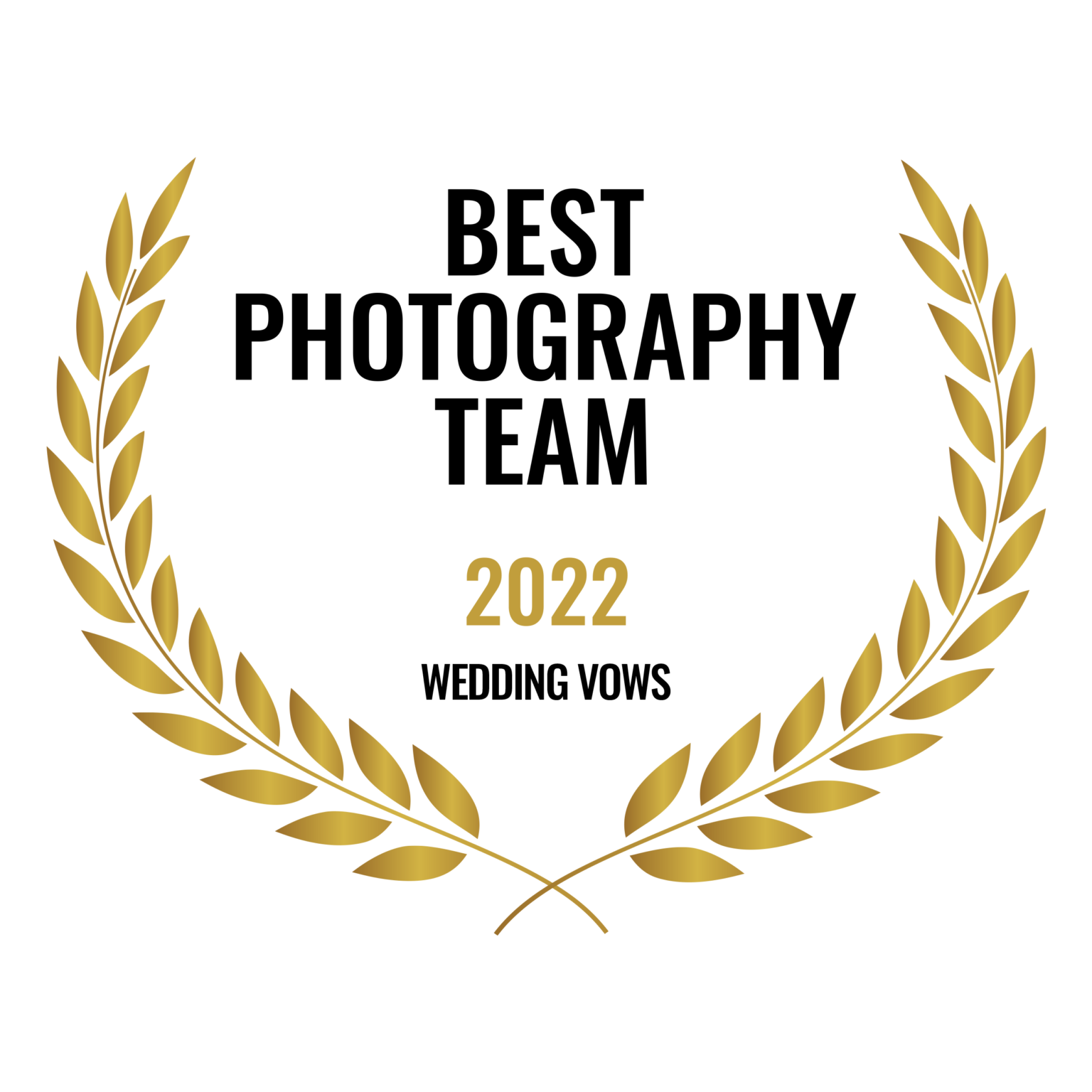 Magic Motion Media | Making Your Special Moments Memorable