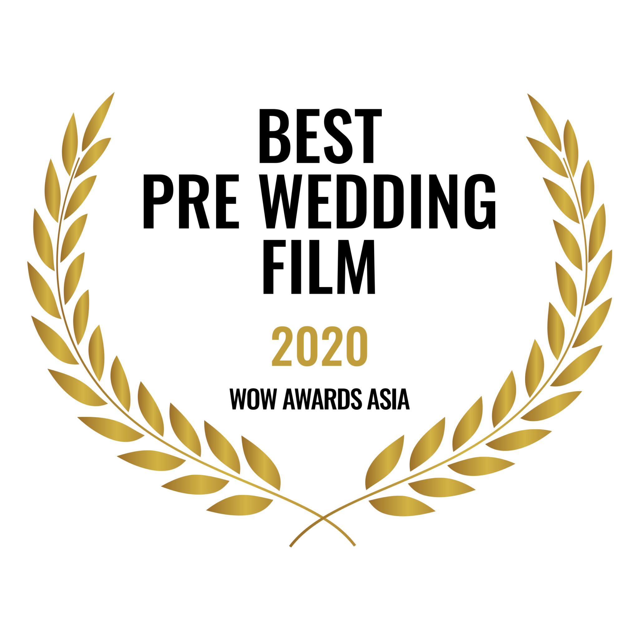 Magic Motion Media | Making Your Special Moments Memorable