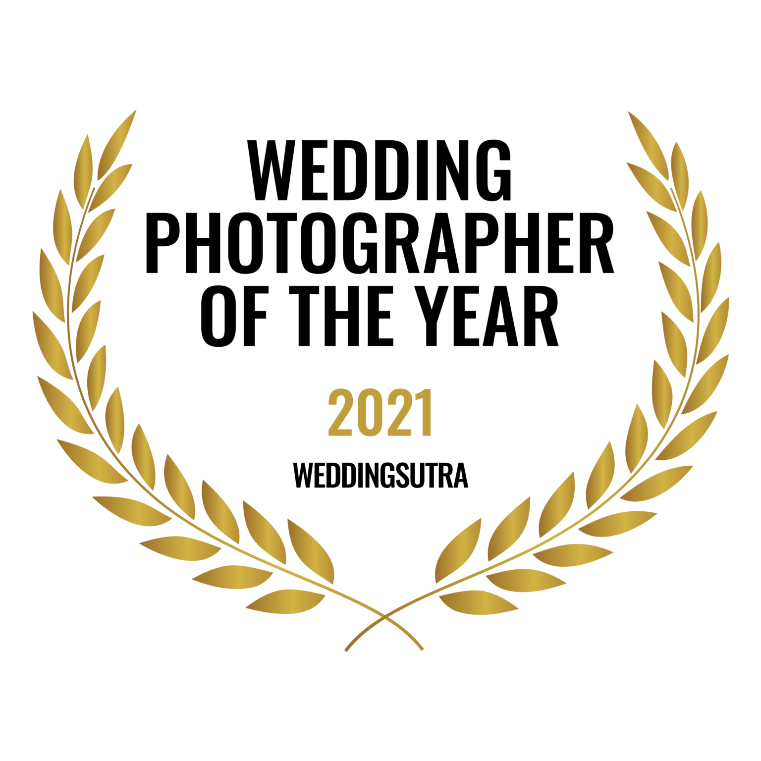 Magic Motion Media | Making Your Special Moments Memorable